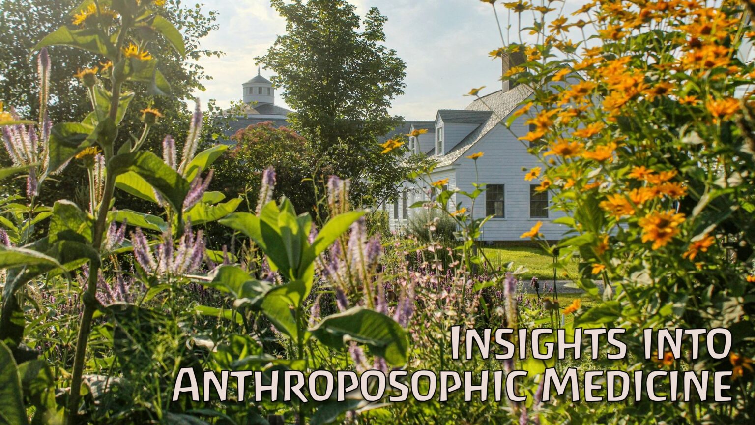 Insights into Anthroposophic Medicine - The Foundation for Health Creation